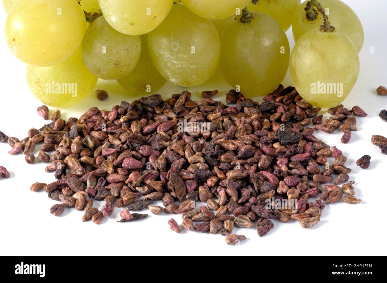 grape-vine, vine (Vitis vinifera), green grapes and dried grape seeds ... grape-vine, vine (Vitis vinifera), green grapes and dried grape seeds ...
