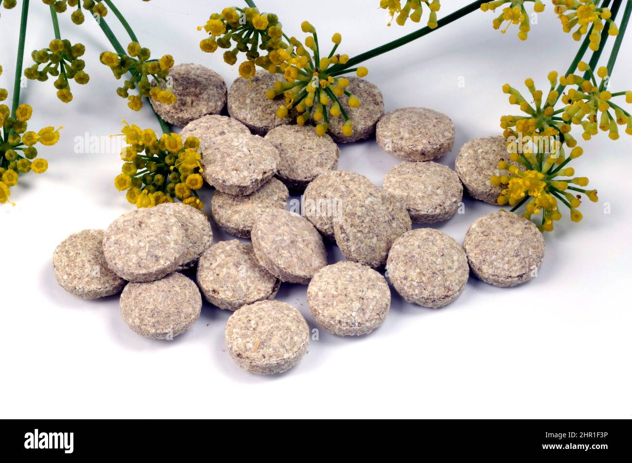 sweet fennel (Foeniculum vulgare, Anethum foeniculum), fennel tablets ...