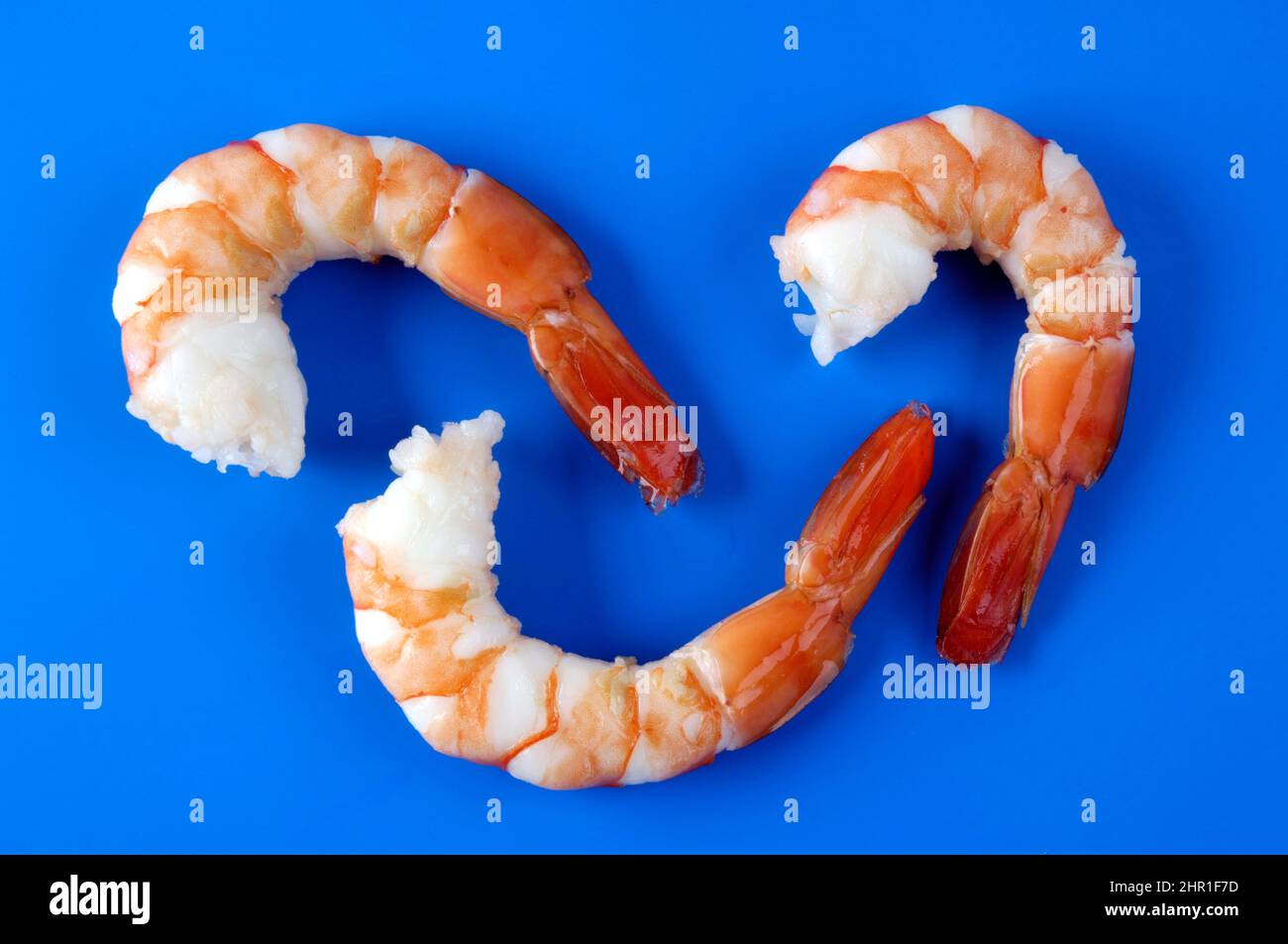 King prawn hi-res stock photography and images - Alamy