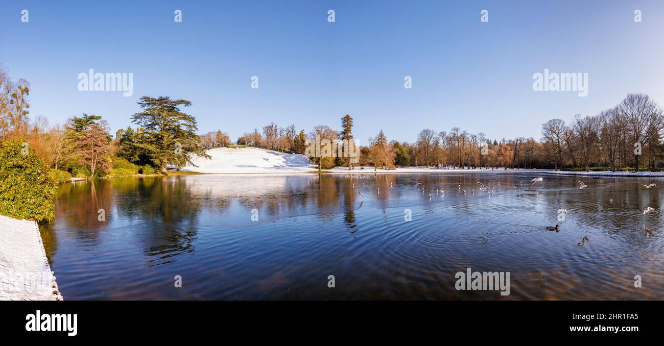 The lake at claremont landscape garden hi-res stock photography and ...