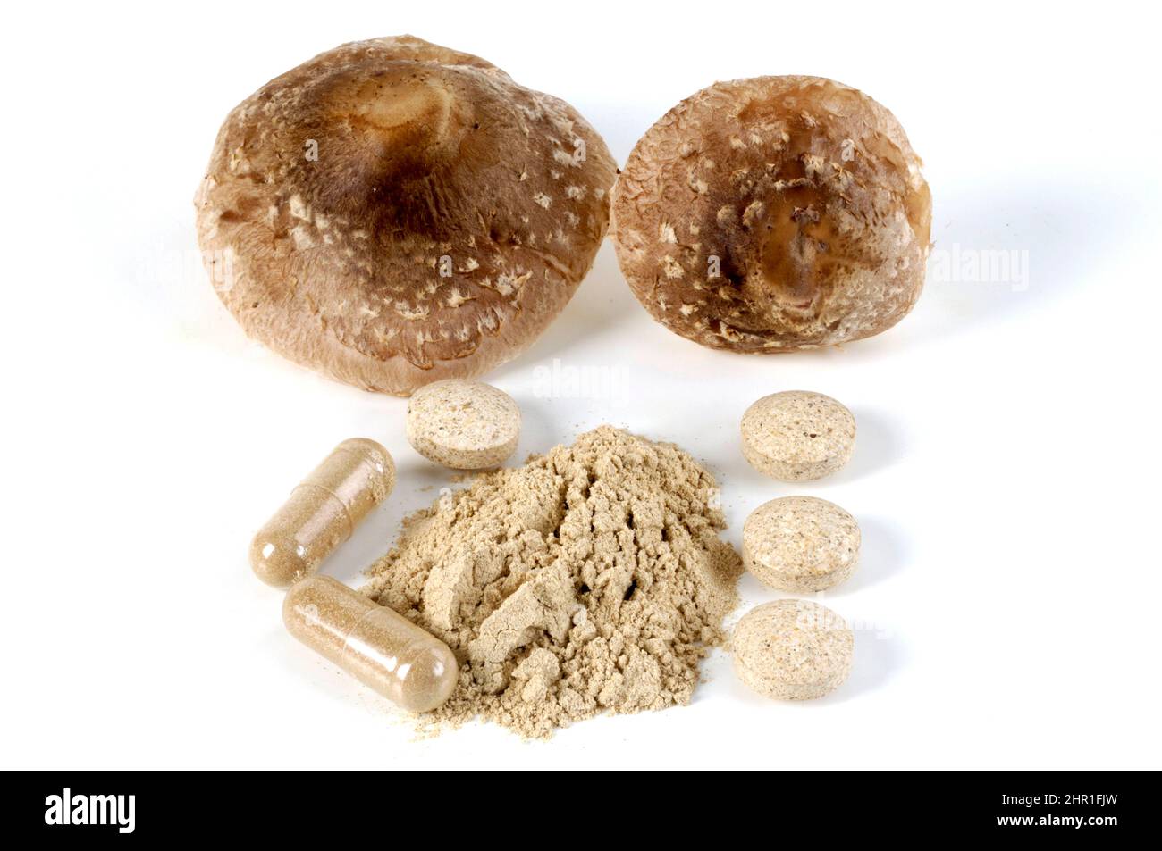 shiitake (Lentinula edodes, Lentinus edodes), fruit bodies, powder ...