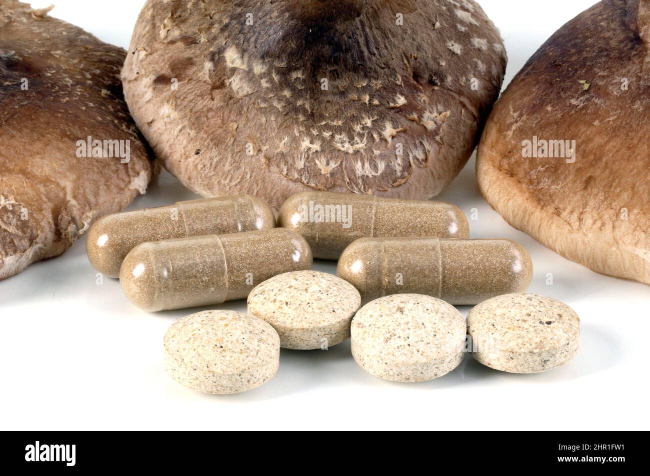 shiitake (Lentinula edodes, Lentinus edodes), fruit bodies, tablets and ...