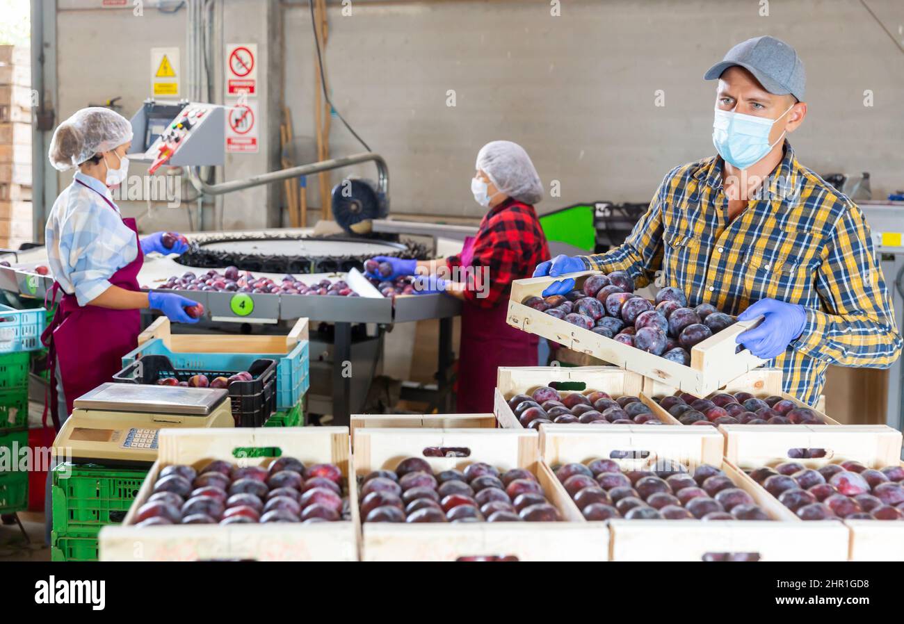 Focused man stacking boxes hi-res stock photography and images - Alamy