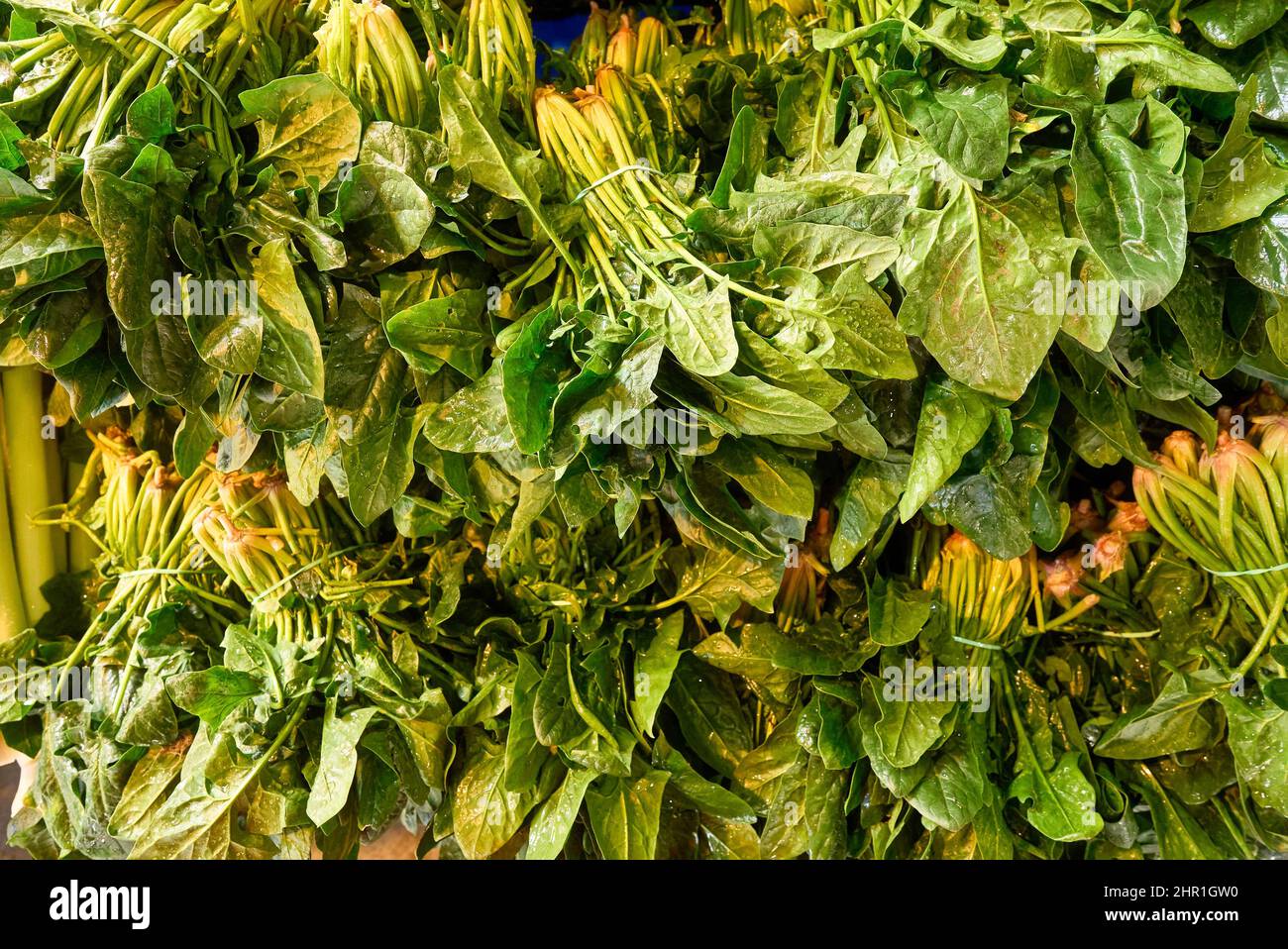 Fresh green spinach for sale at vegetable market, close up. Boxes full ...