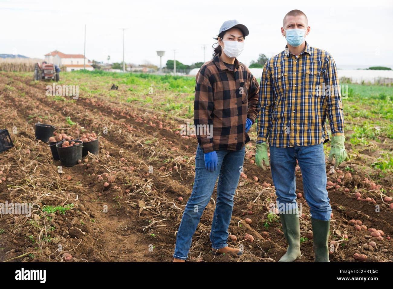 Man and woman farmers in masks standing on potato field Stock Photo - Alamy