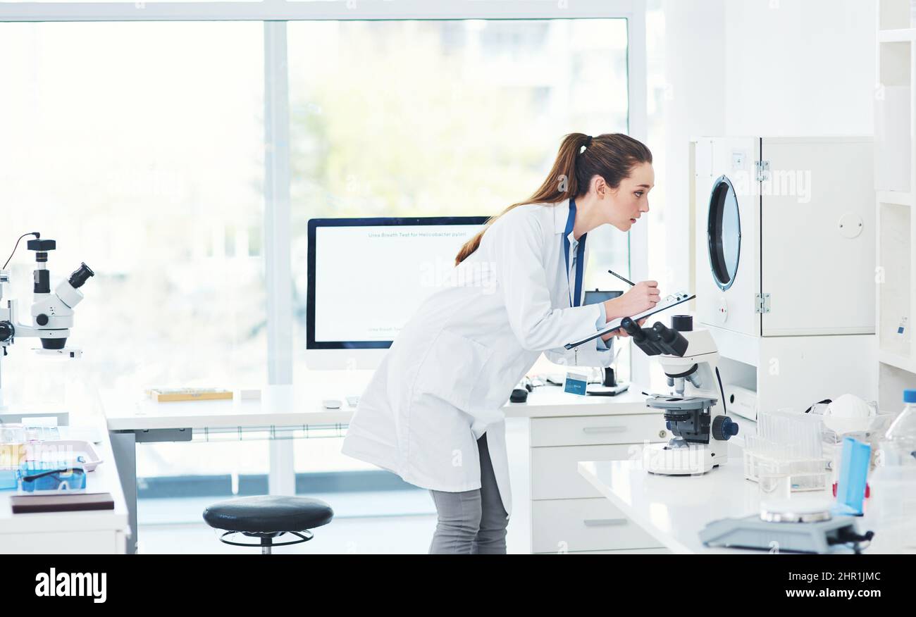 Observing and making notes. Cropped shot of a focused young female ...