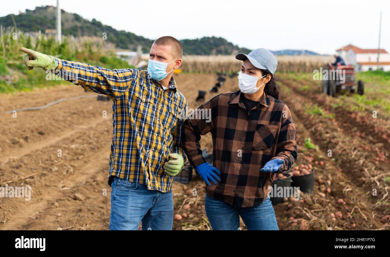 Owner of the farm field tells hired worker where to work Stock Photo ...