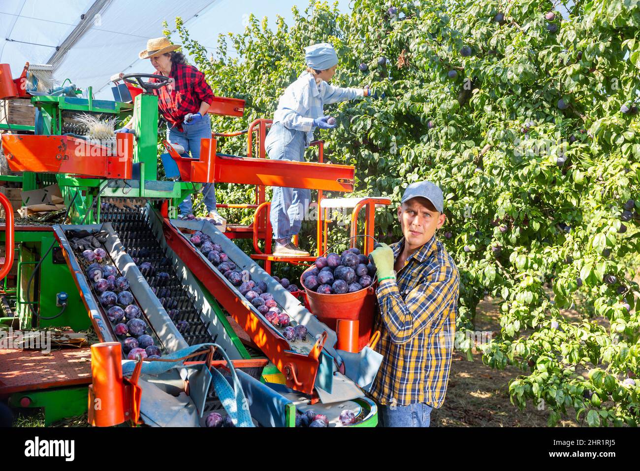 Group work man woman sorting hi-res stock photography and images - Alamy