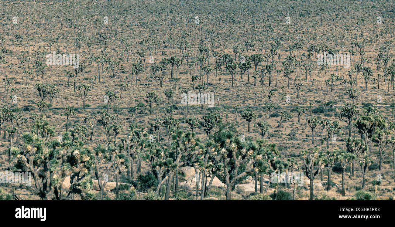 The park wall hi-res stock photography and images - Alamy