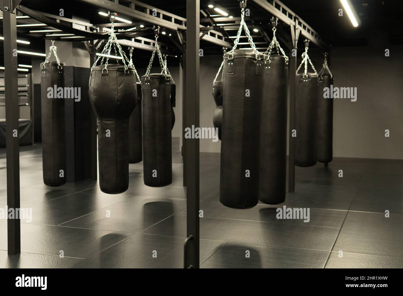 bag punching boxing boxer exercise, from competition sport for fight ...