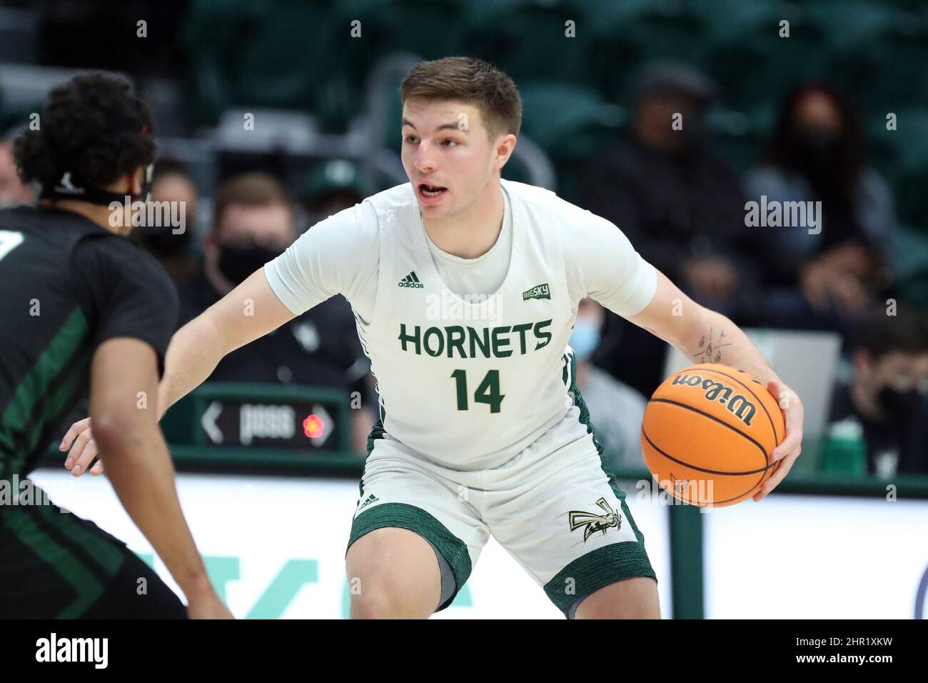 Sacramento state hornets basketball hi-res stock photography and images ...