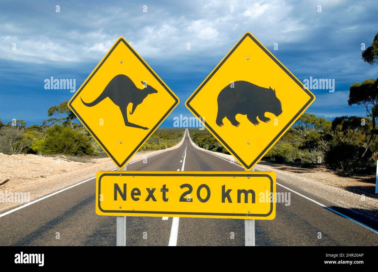 The Eyre highway across the Nullarbor plains in South Australia Stock ...