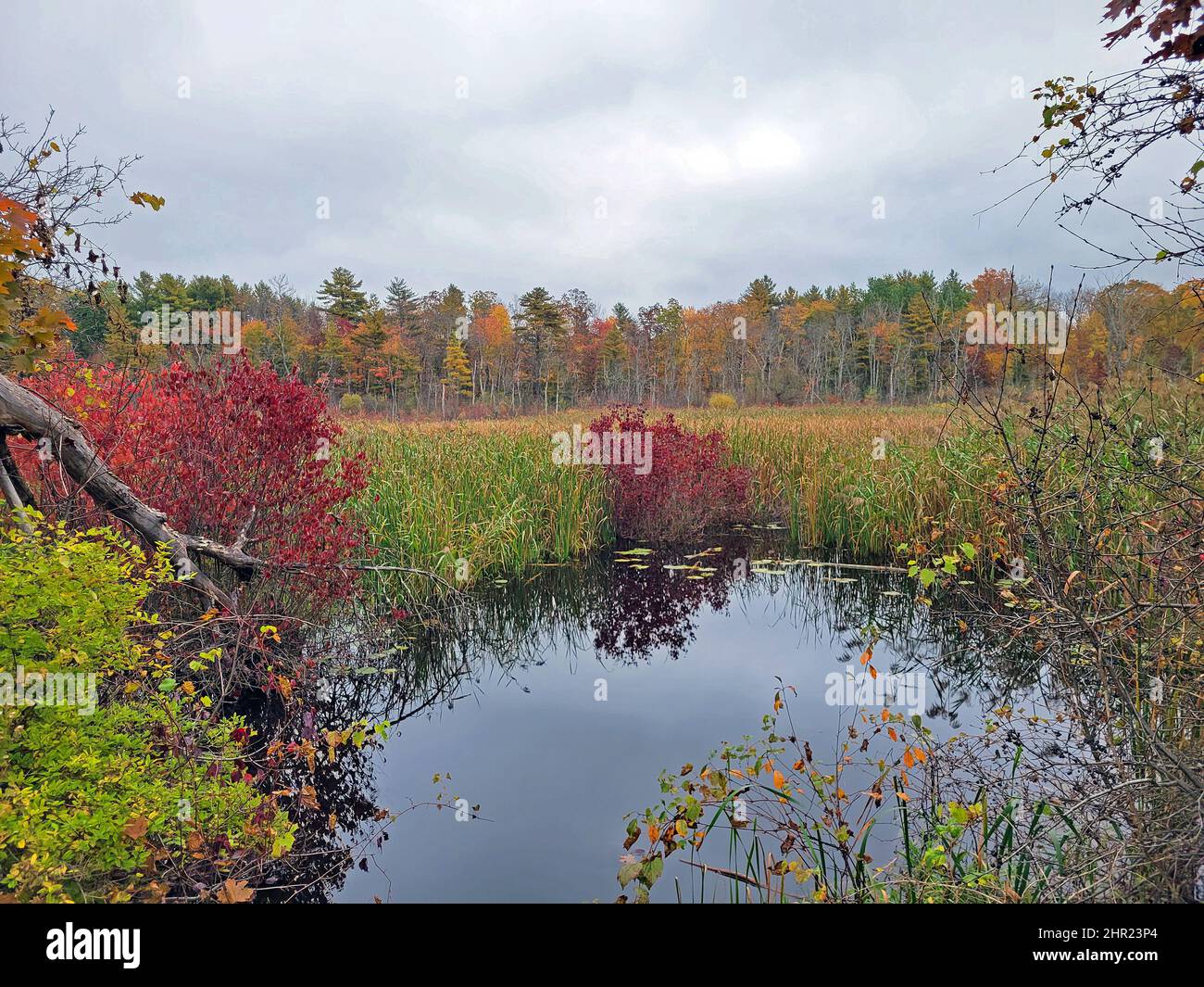 Massachusetts stockbridge hi-res stock photography and images - Alamy