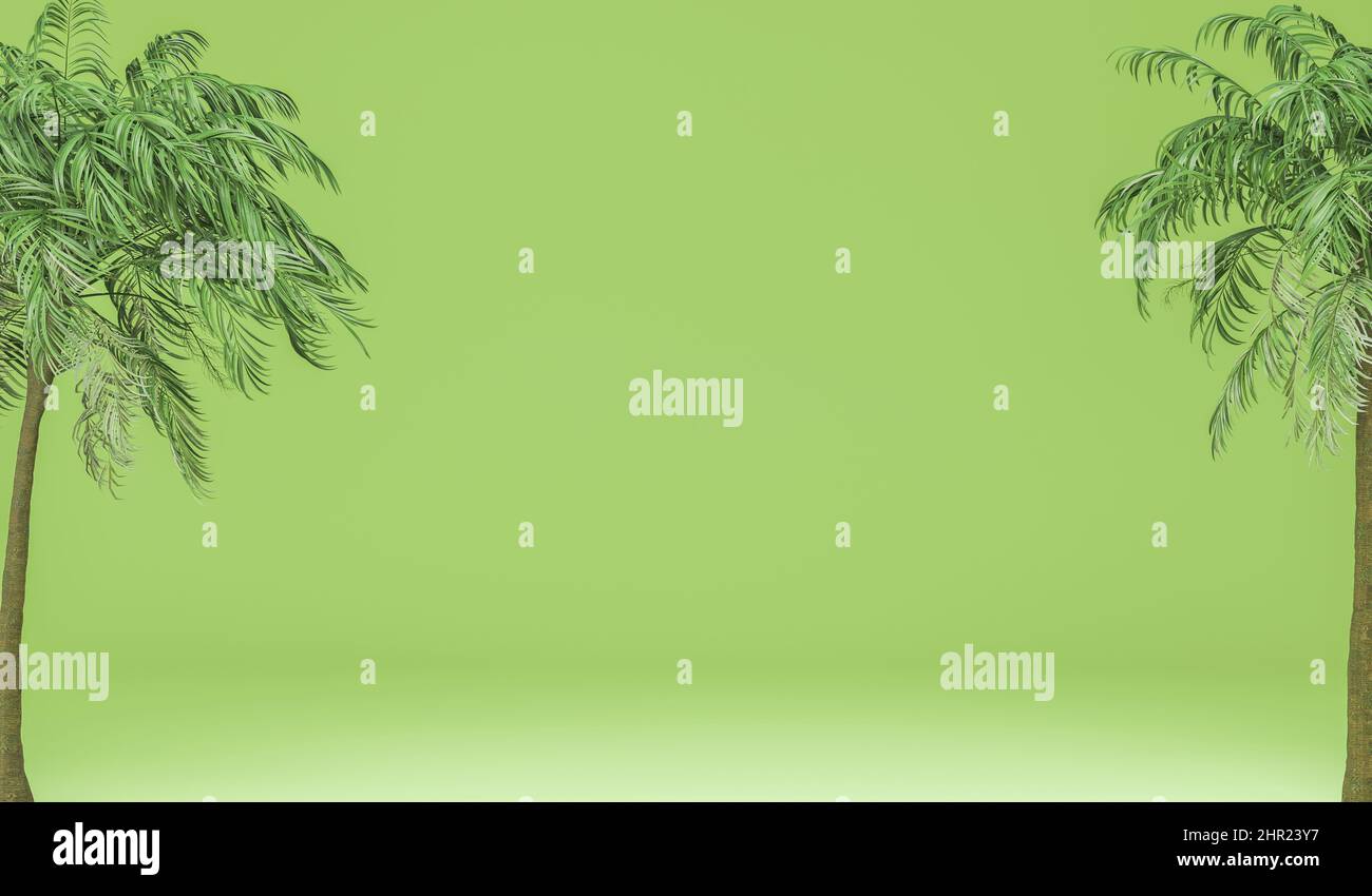 3d green podium with palm trees, summer background stage digital ...
