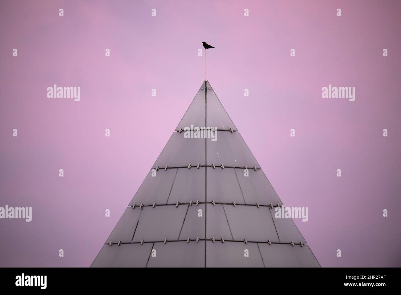 Hanover, Germany. 25th Feb, 2022. A bird sits on the top of the pyramid ...