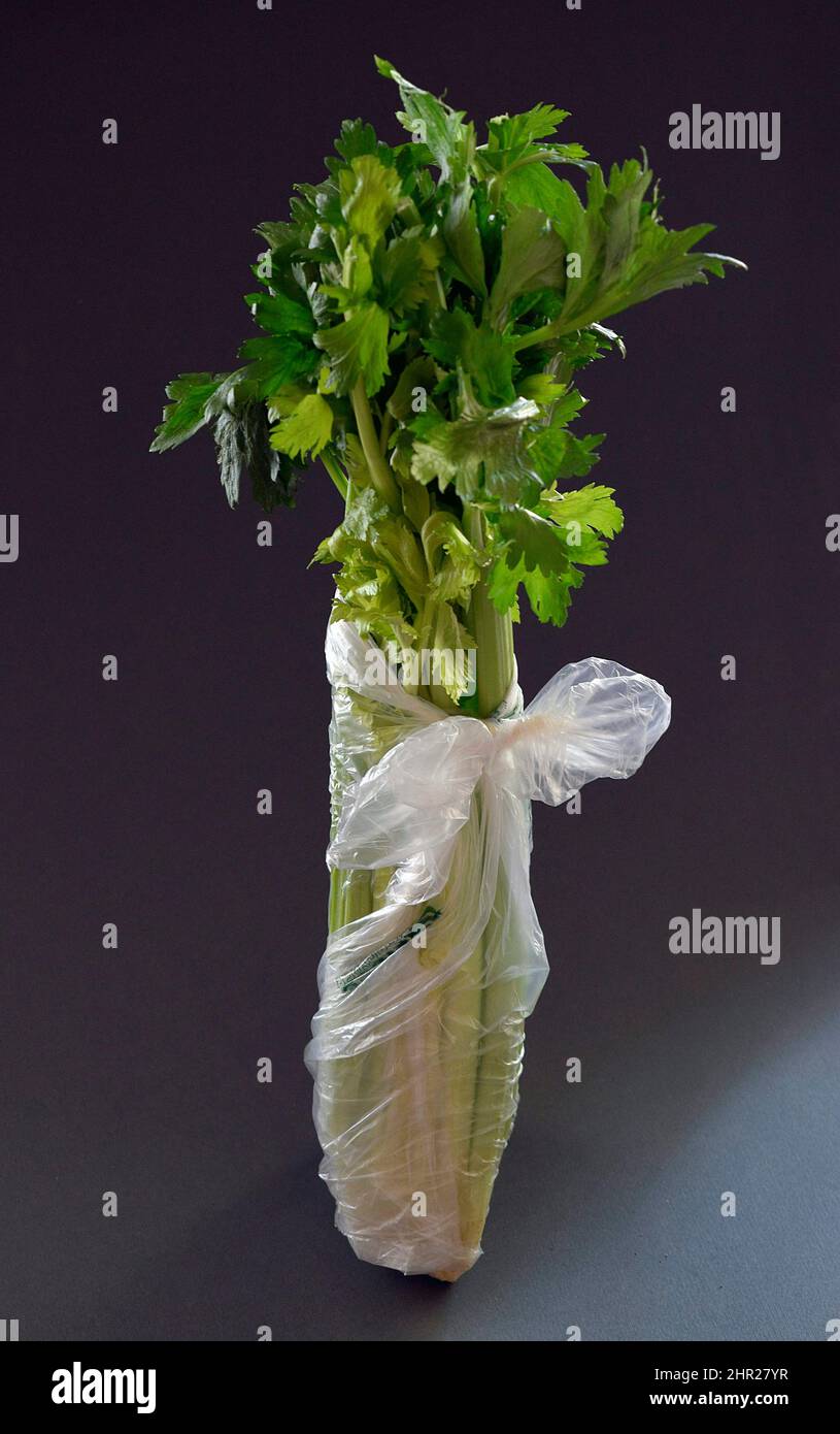 Plastic_bags hi-res stock photography and images - Alamy