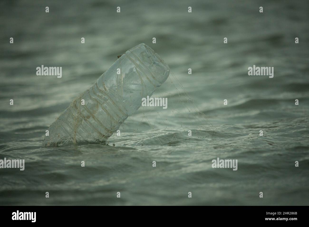 Plastic bottles are being used in fishing nets Stock Photo - Alamy