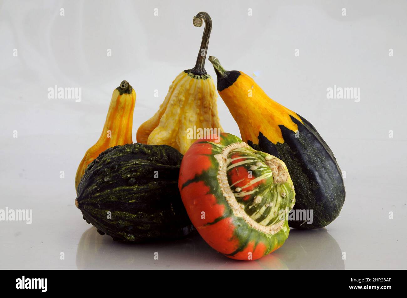Prepared pumpkins hi-res stock photography and images - Alamy