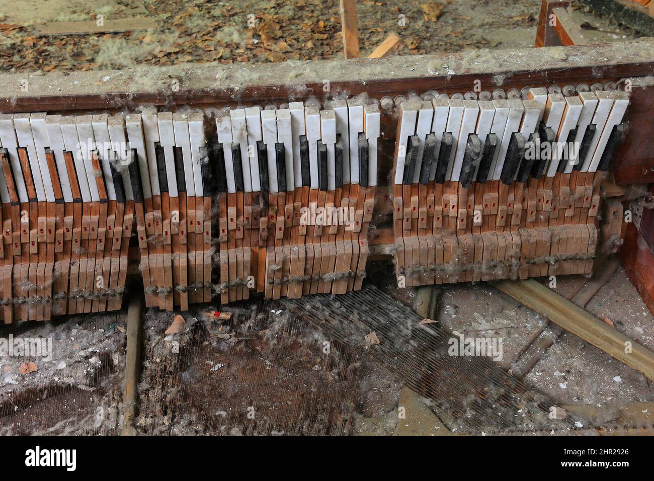 Ukraine, in the restricted and uninhabitable 30 kilometer zone around ...