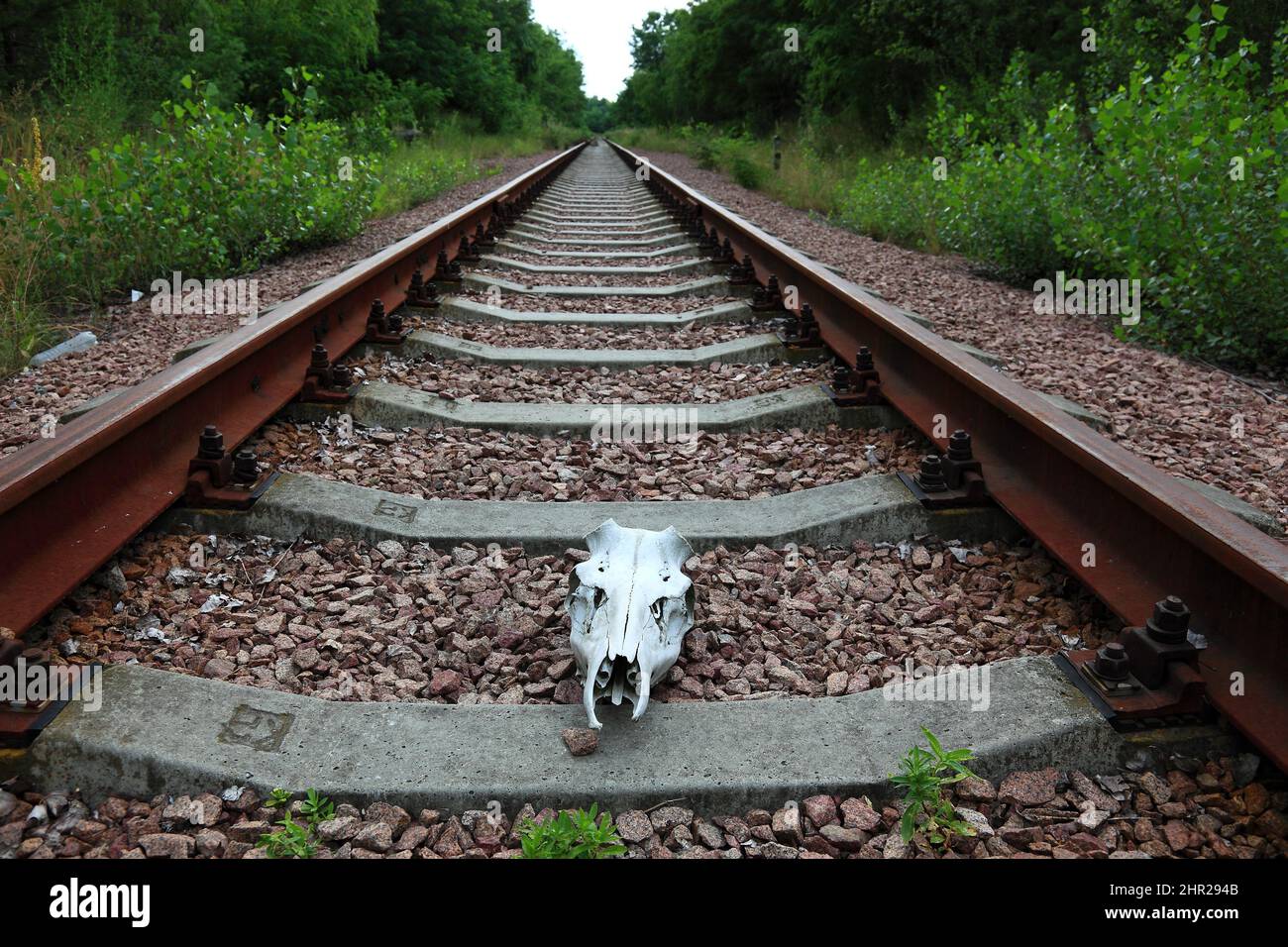Ukraine, in the restricted and uninhabitable 30 kilometer zone around ...