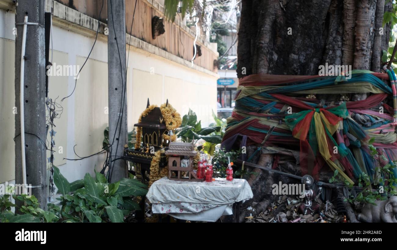 Chong nosi hi-res stock photography and images - Alamy