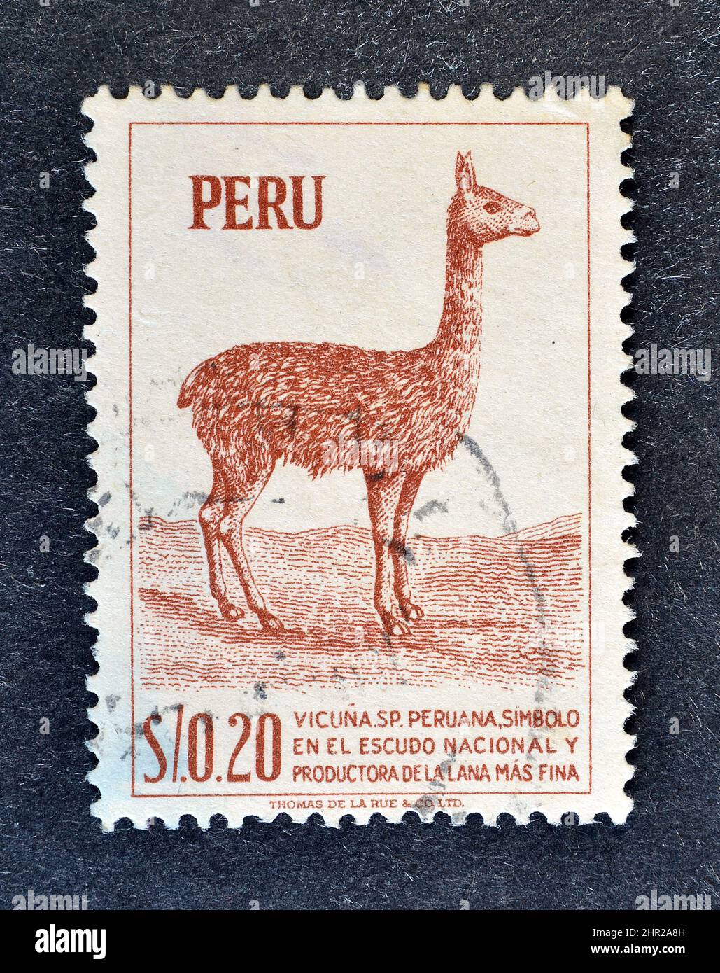 Cancelled postage stamp printed by Peru, that shows Vicuña Peruana ...