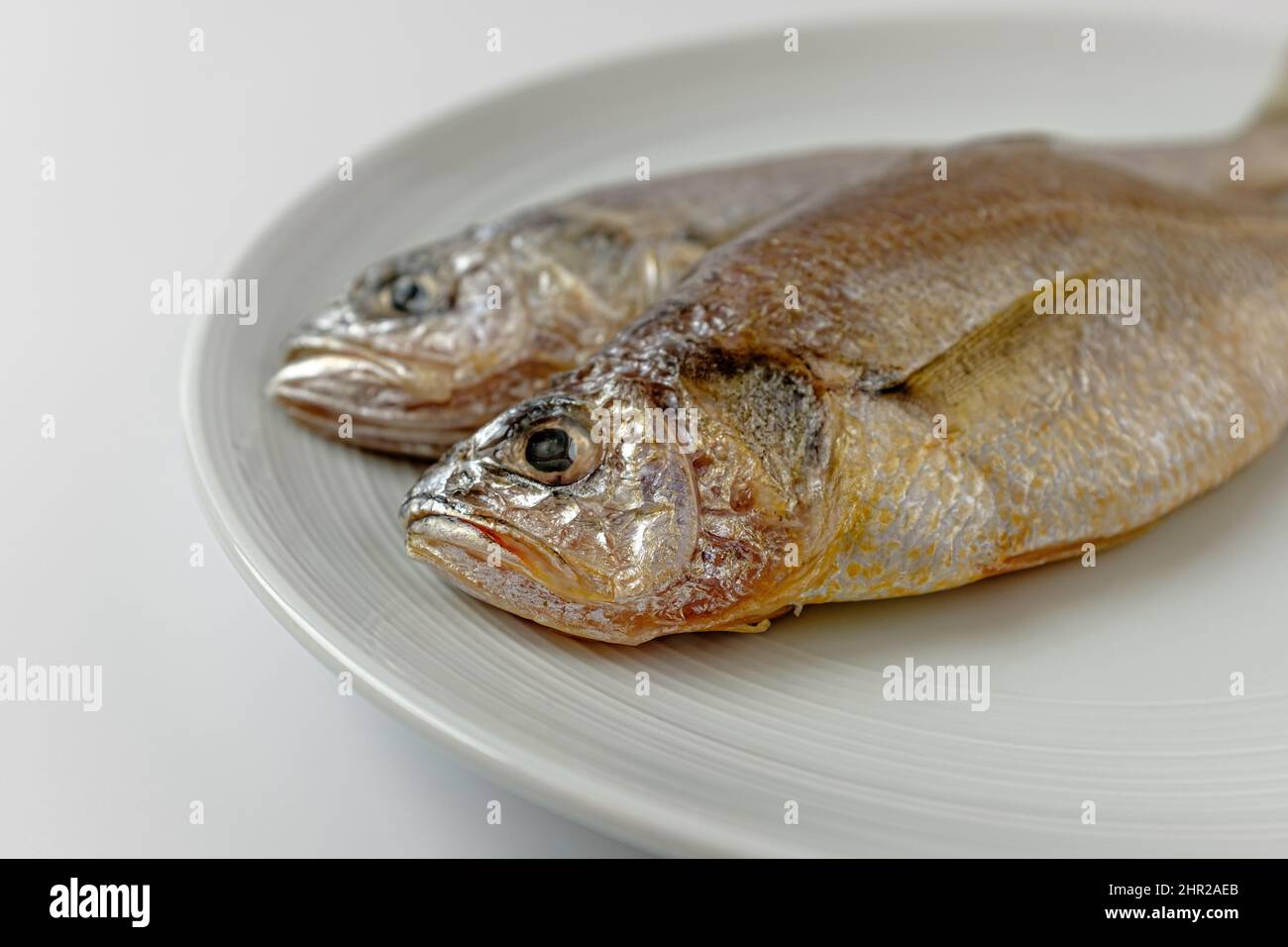Croaker fish hi-res stock photography and images - Alamy