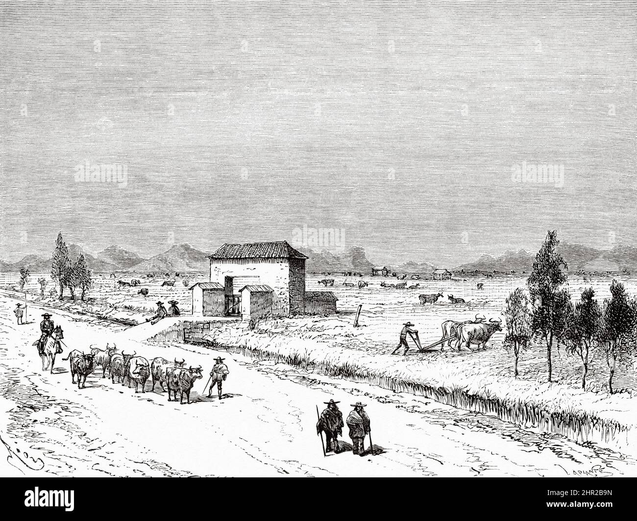 Cultures of Fontibon, plain of Bogota, Cundinamarca, Colombia. South ...
