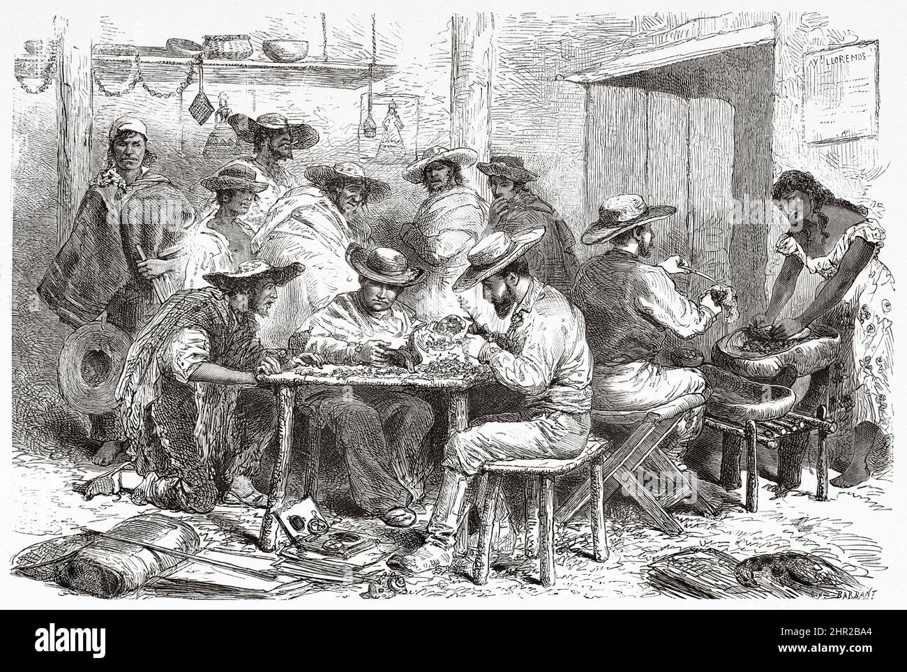 Natural history work in Chipaque, Cundinamarca, Bogota, Republic of ...