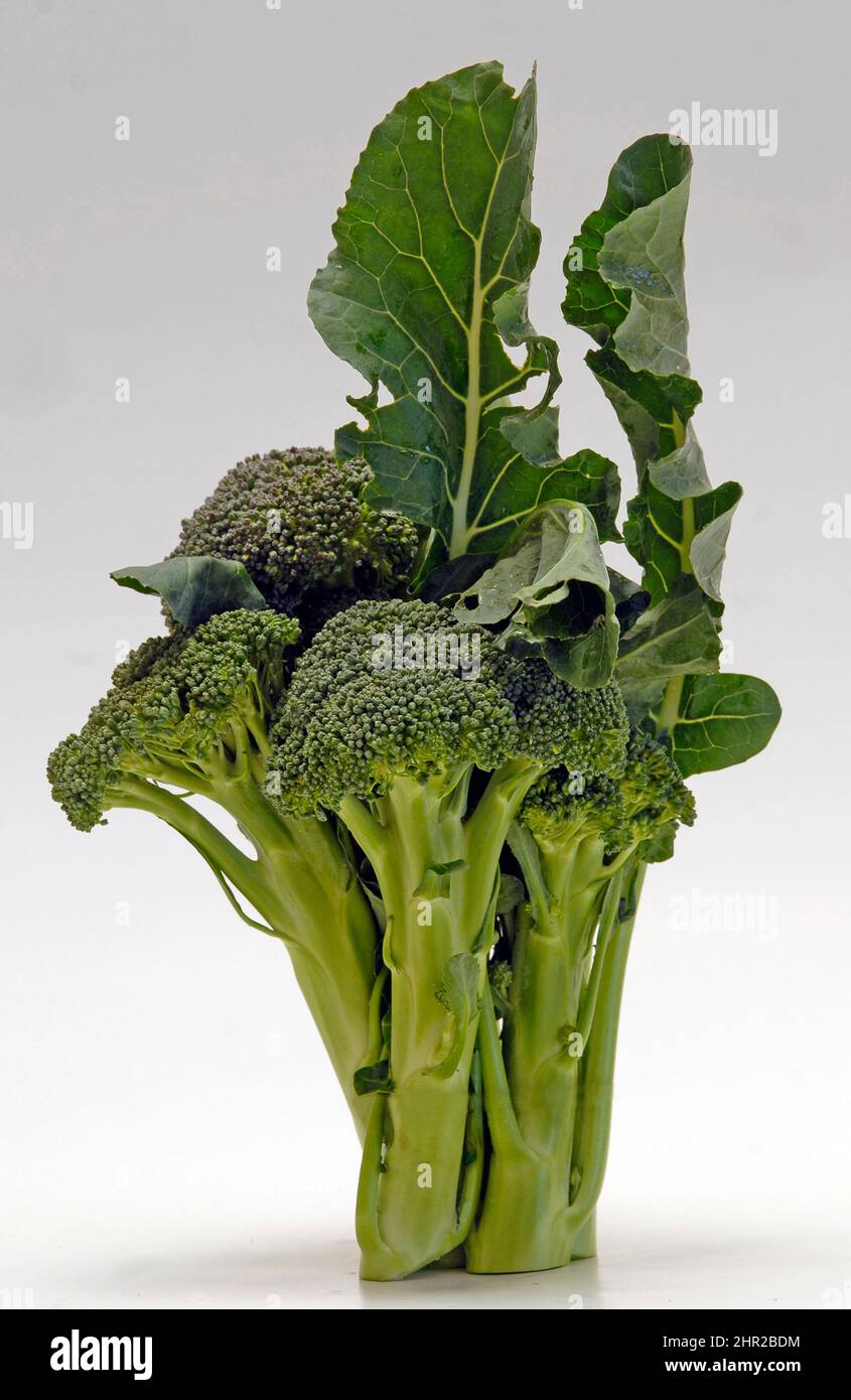 Broccoli images hi-res stock photography and images - Alamy