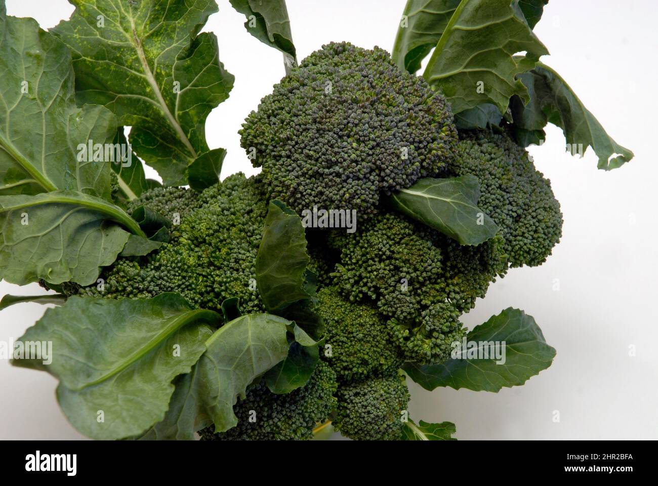 Broccoli images hi-res stock photography and images - Alamy