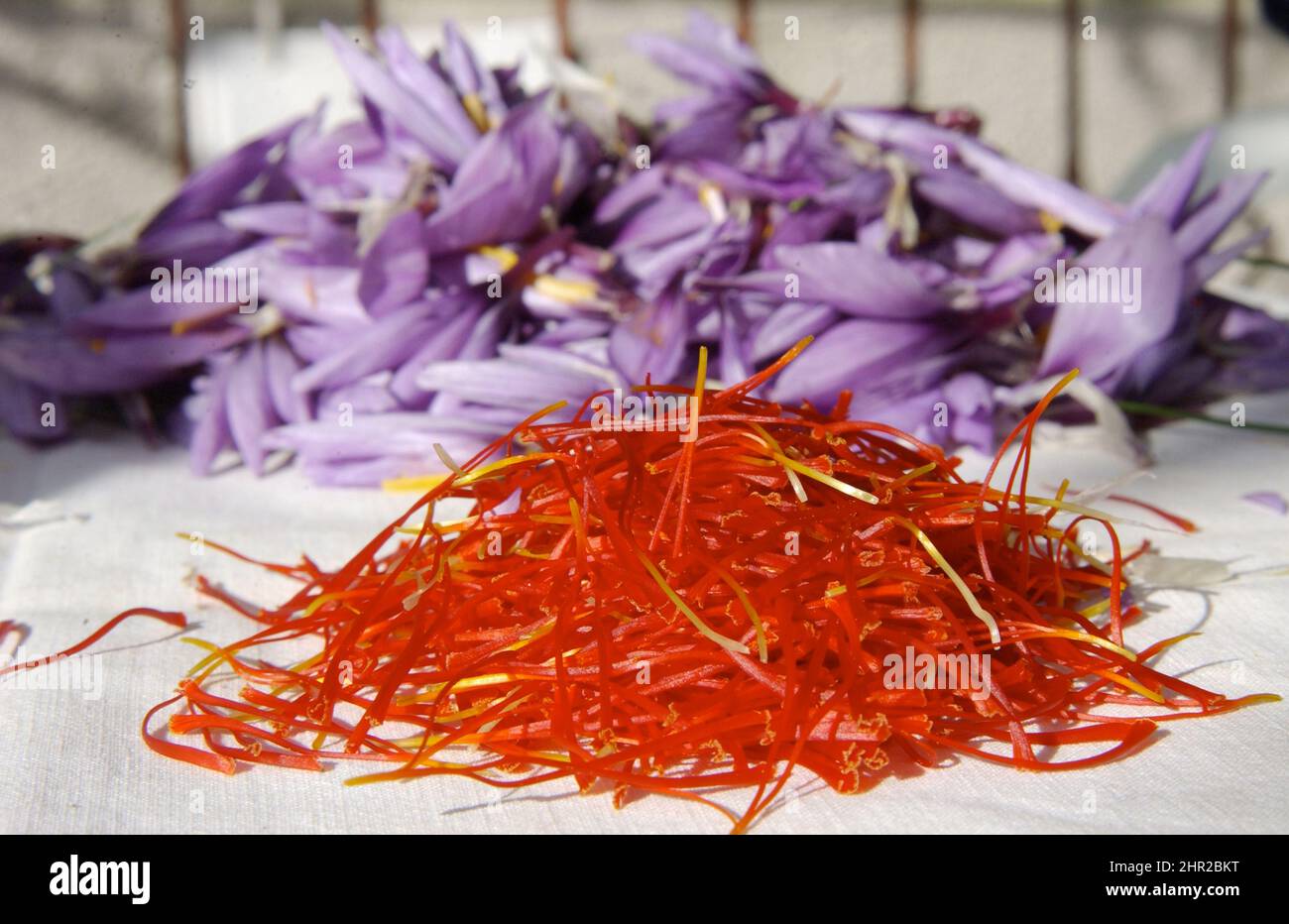 Flavouring with saffron hi-res stock photography and images - Alamy