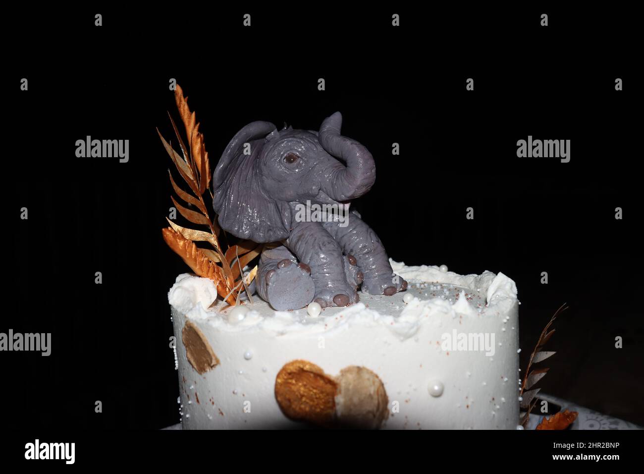 Birthday cake elephant hi-res stock photography and images - Alamy