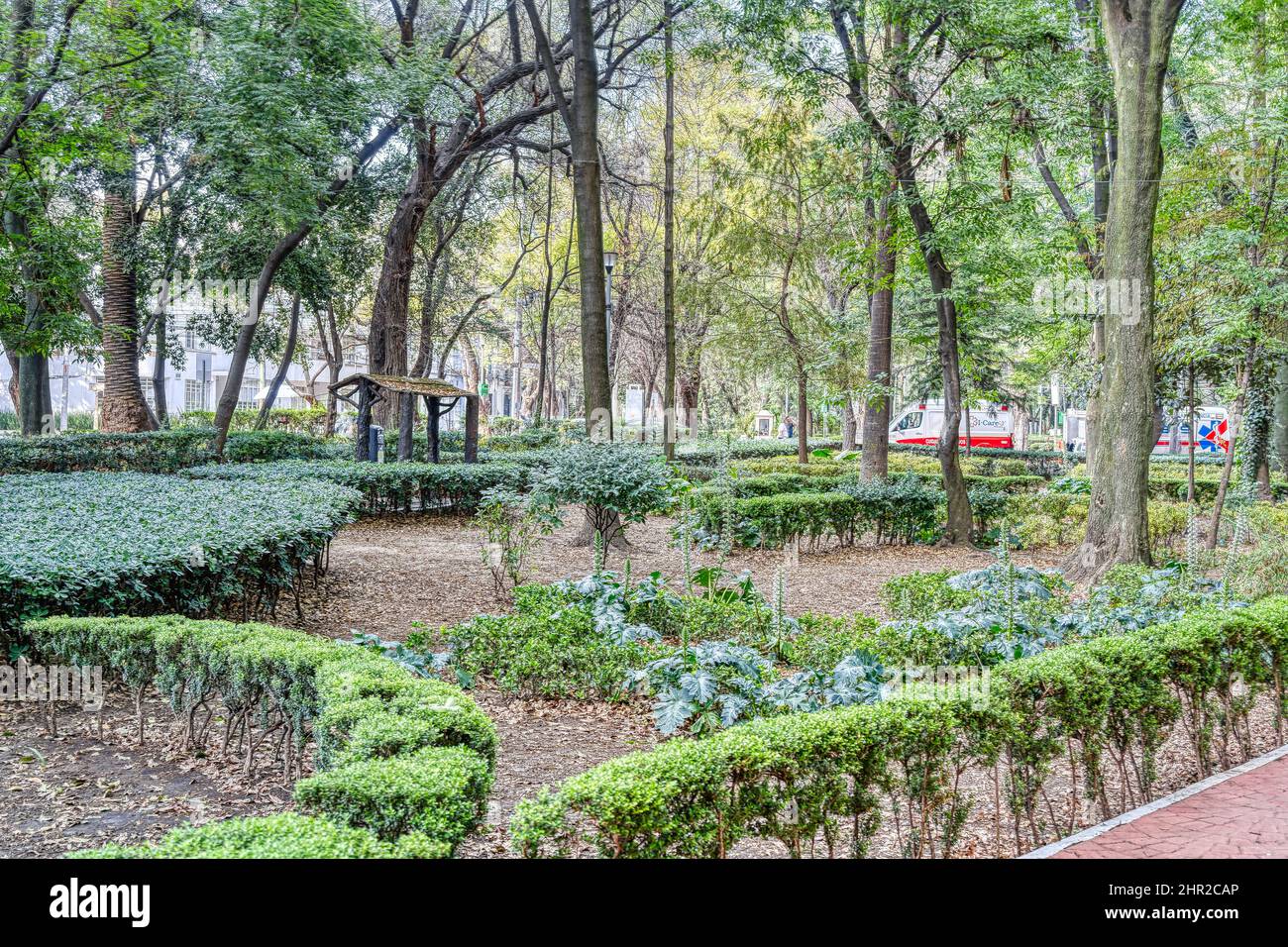 Colonia Condesa, Mexico Stock Photo - Alamy