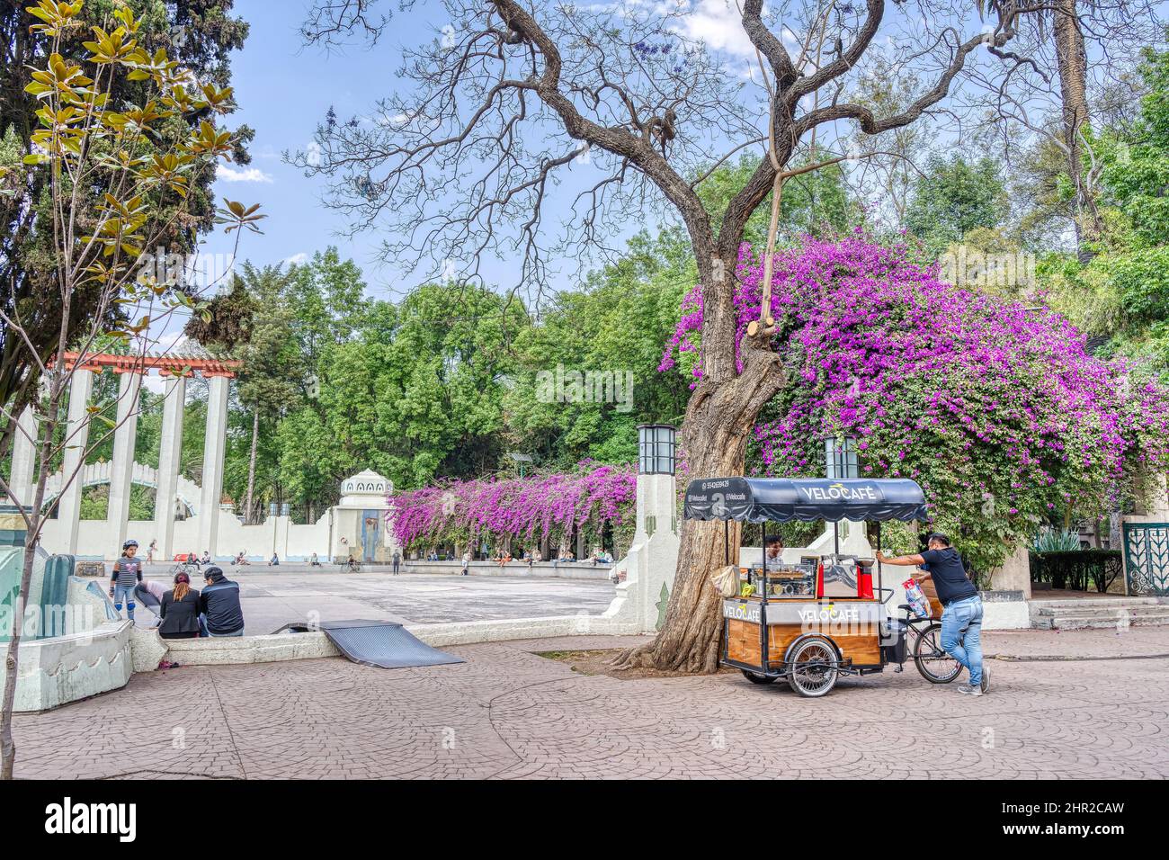 Colonia Condesa, Mexico Stock Photo - Alamy