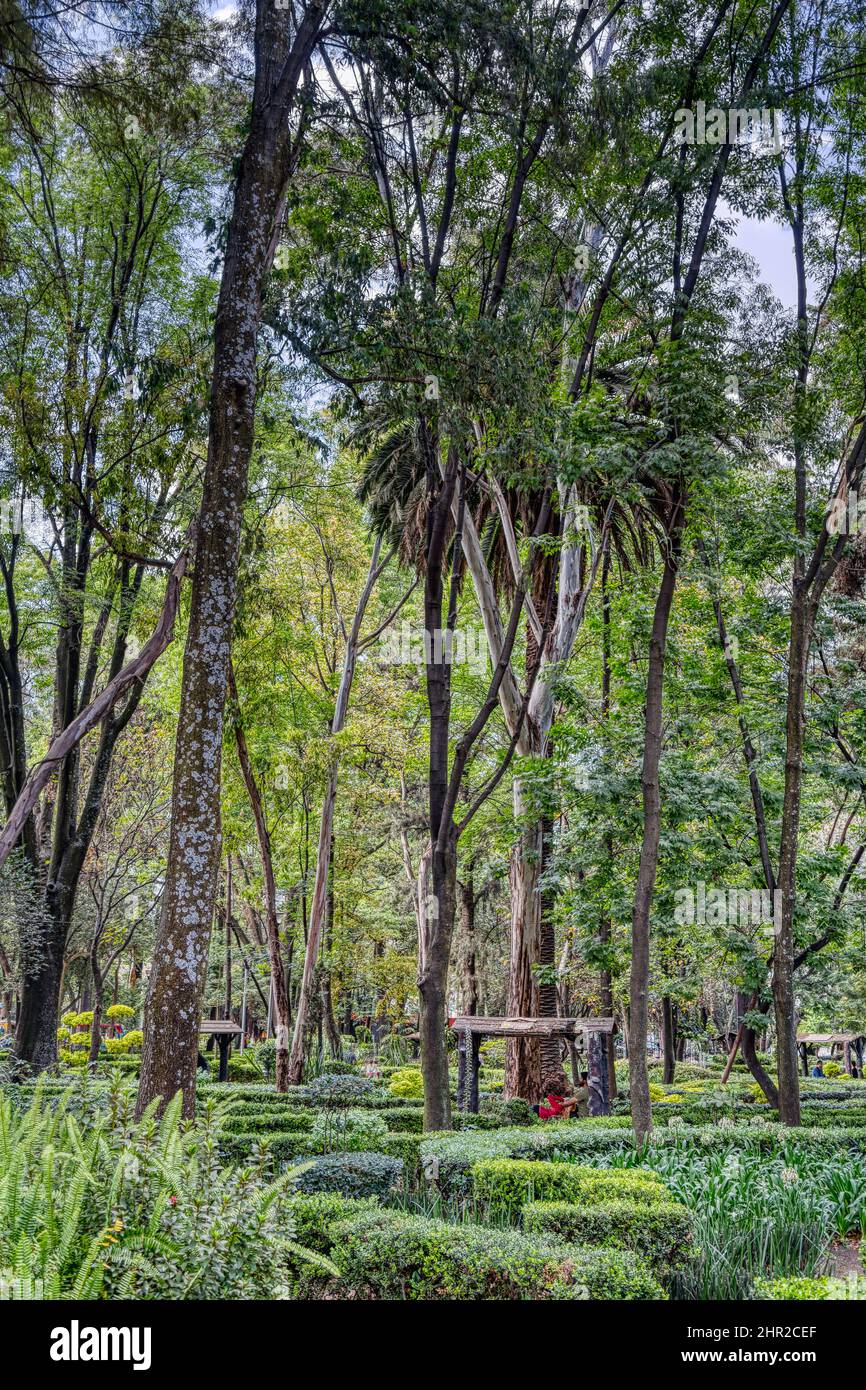 Colonia Condesa, Mexico Stock Photo - Alamy