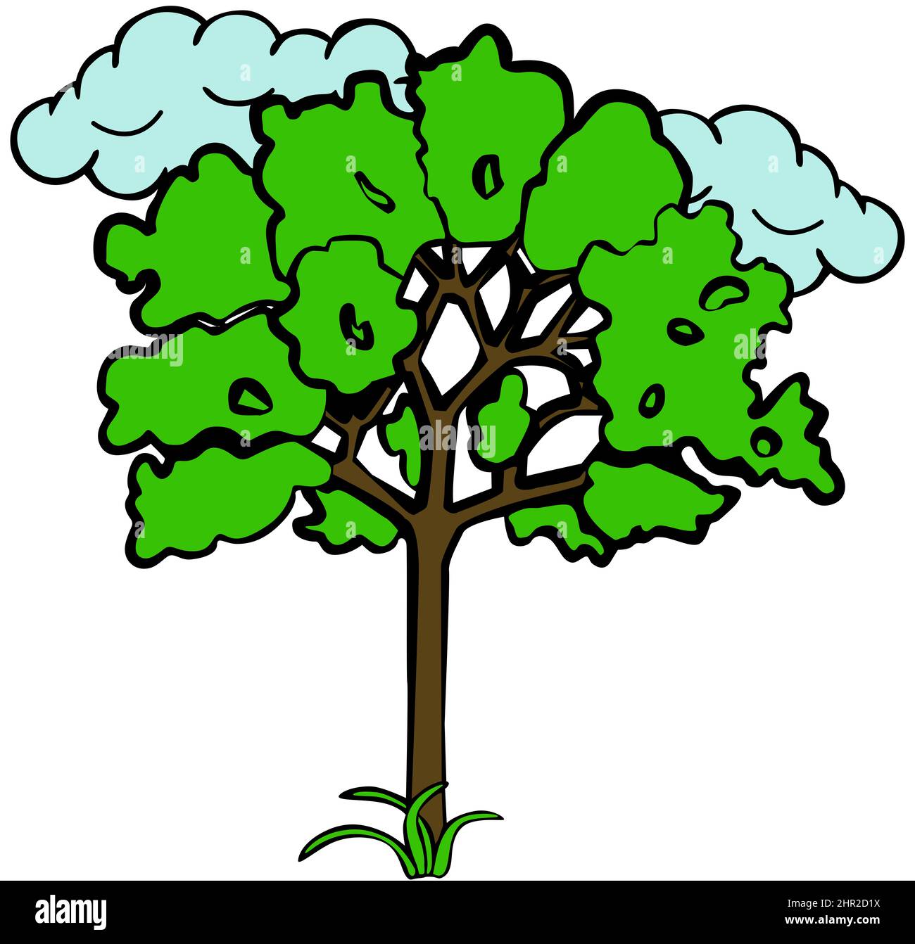 Forest sky clouds Cut Out Stock Images & Pictures - Alamy