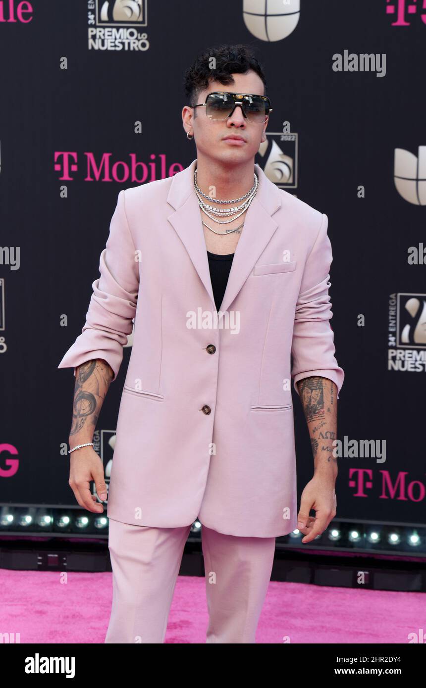 MIAMI, FLORIDA - FEBRUARY 24: Saak attends Univision's 34th Edition Of ...