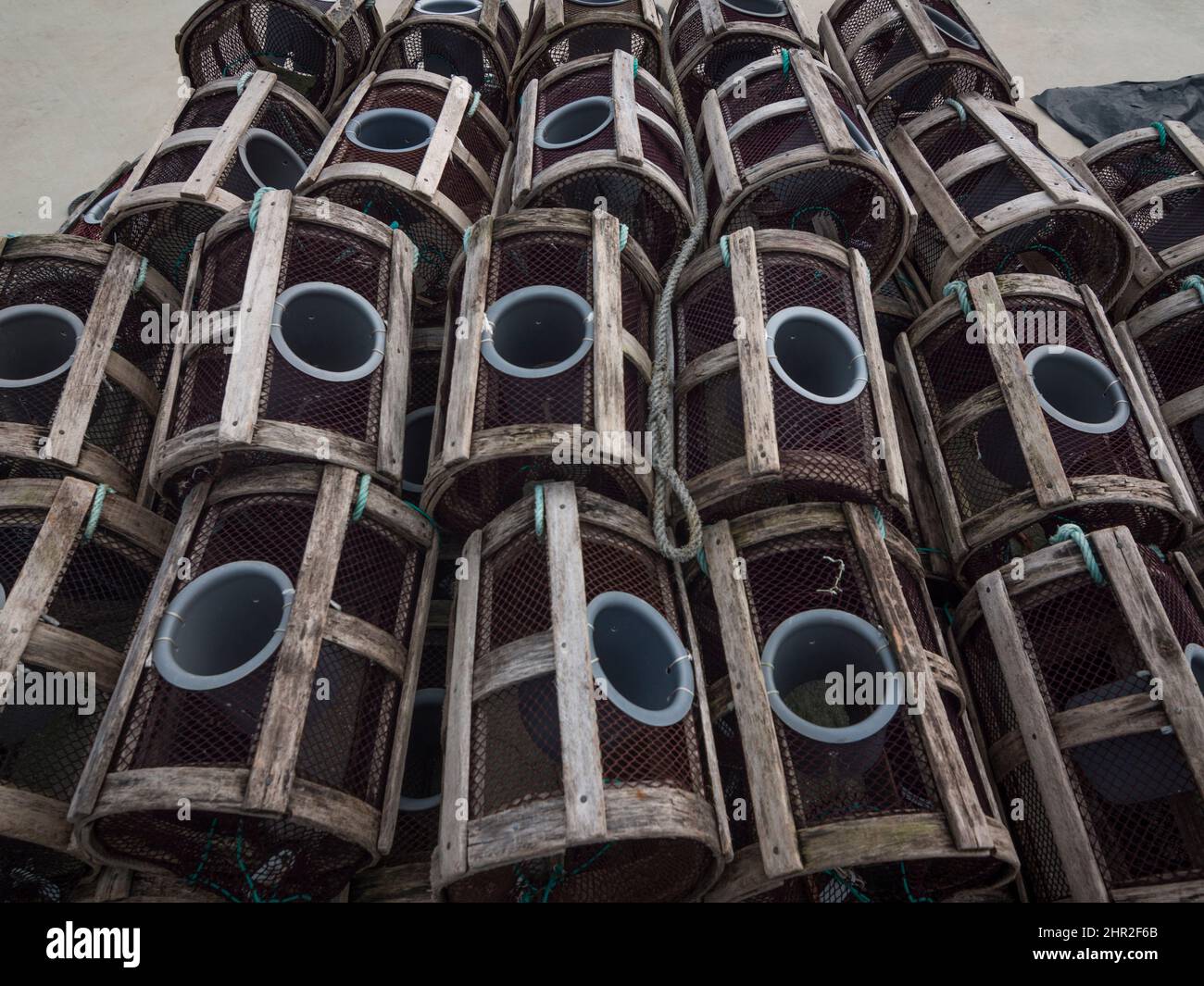 Octopus trap hi-res stock photography and images - Alamy