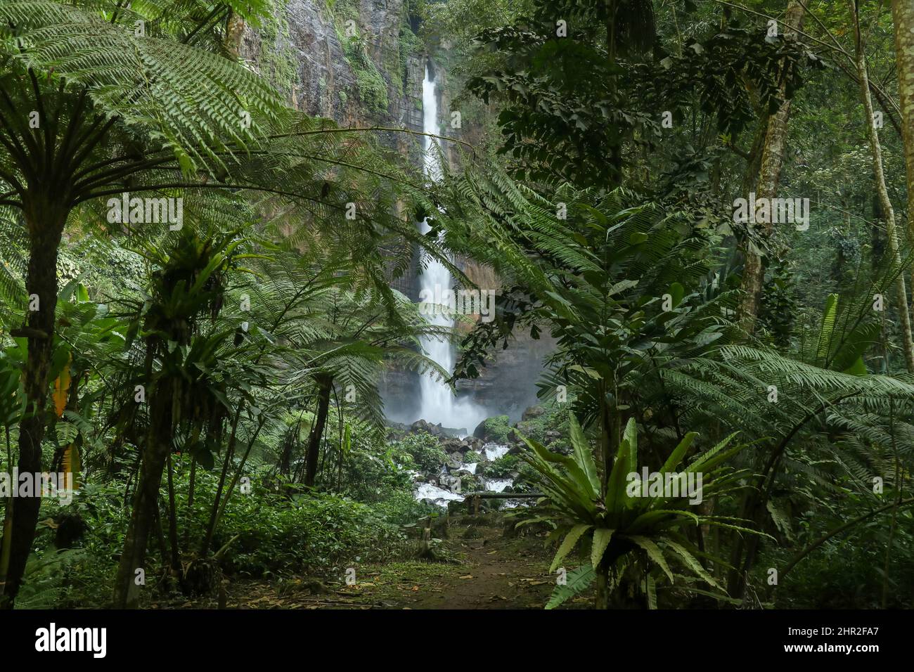 Kapas Biru Waterfall in deep jungle. Best Top Tourist Destination in ...