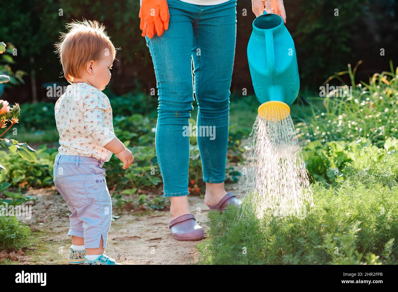 Mother waters the flowers from a watering can, teaching her baby girl ...