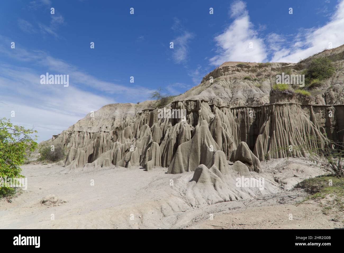 The gray desert of Tatacoa, Colombia Stock Photo - Alamy