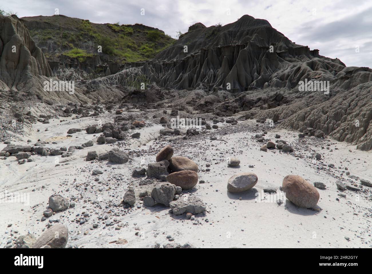 The gray desert of Tatacoa, Colombia Stock Photo - Alamy