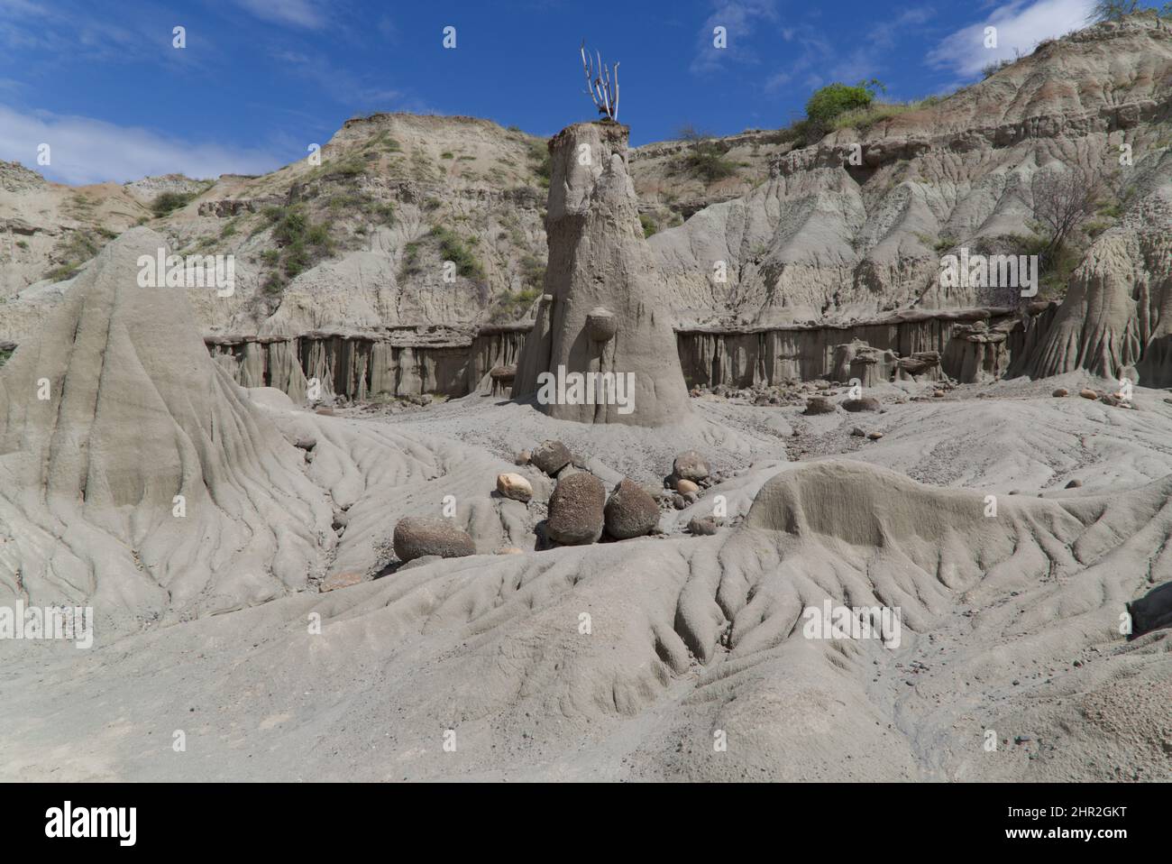The gray desert of Tatacoa, Colombia Stock Photo - Alamy