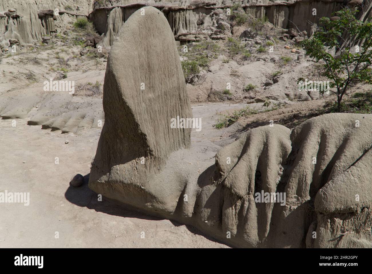 The gray desert of Tatacoa, Colombia Stock Photo - Alamy
