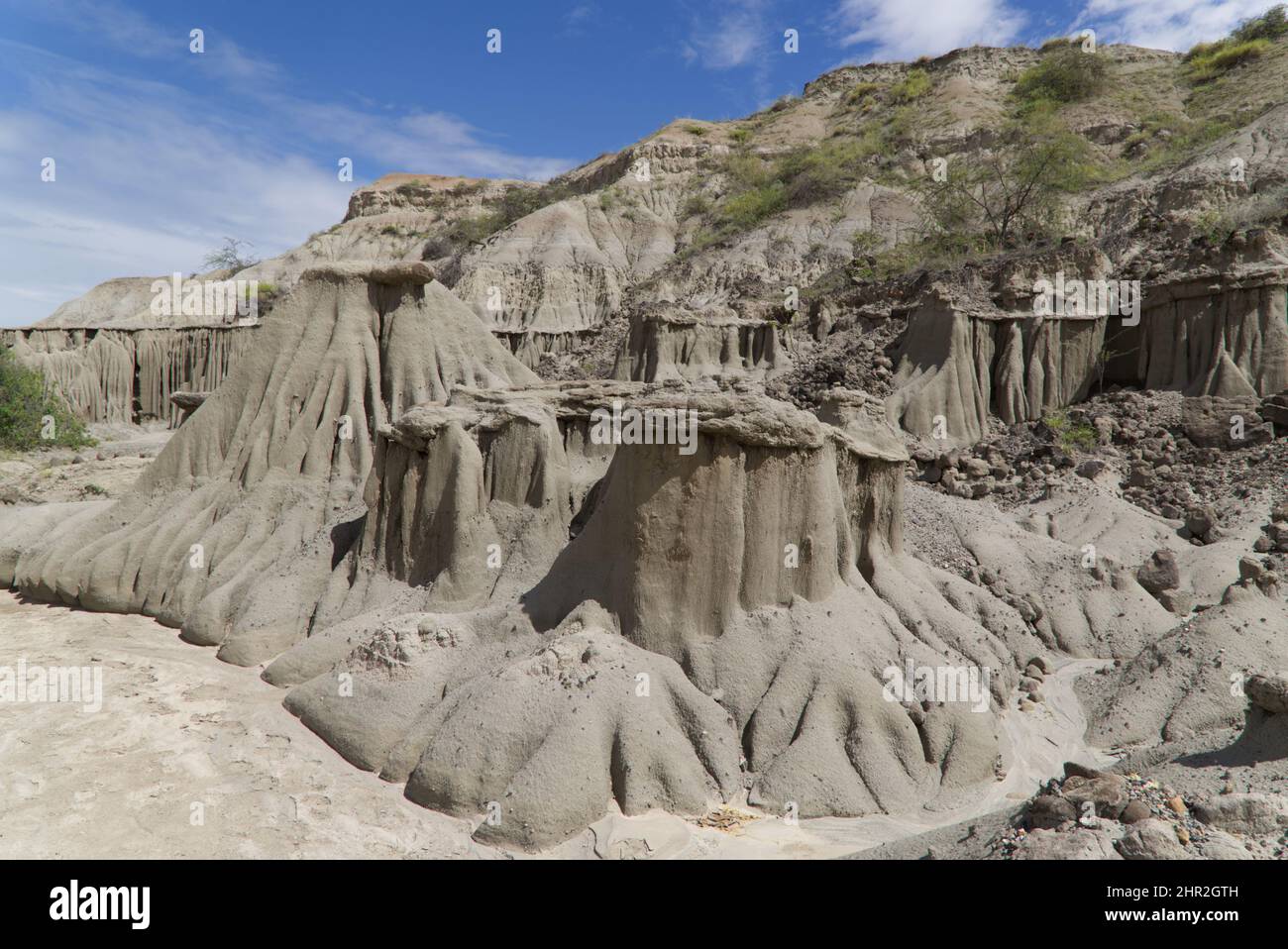 The gray desert of Tatacoa, Colombia Stock Photo - Alamy