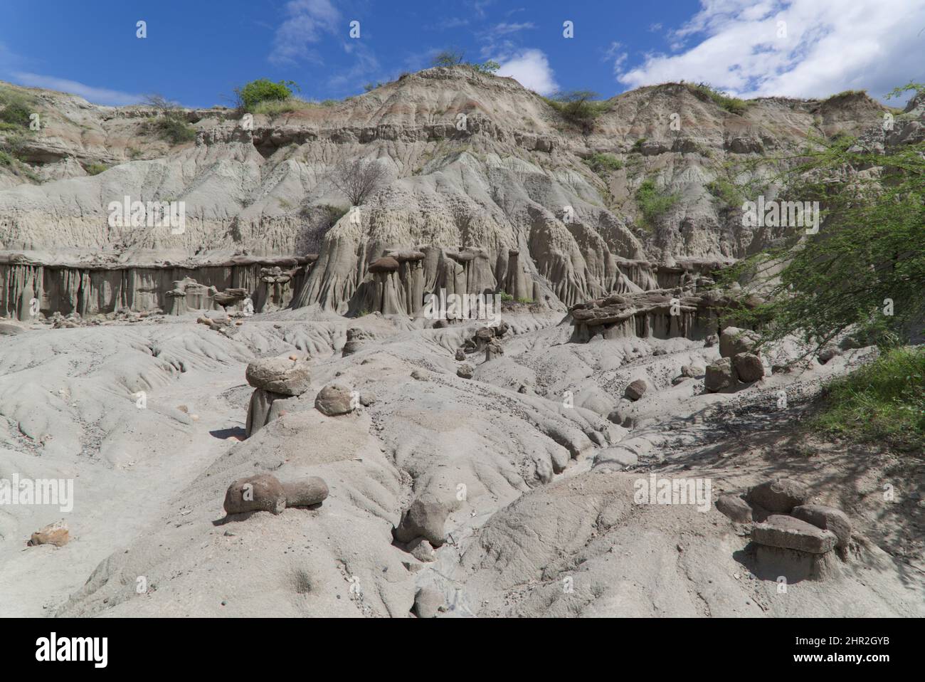 The gray desert of Tatacoa, Colombia Stock Photo - Alamy