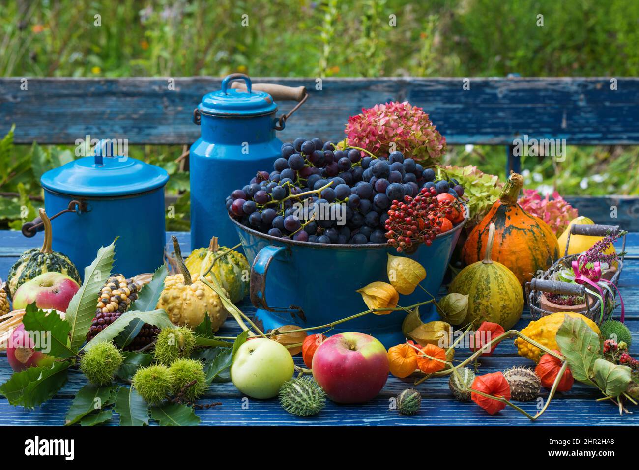 Colorful autumn fruits on a wooden garden table Stock Photo - Alamy