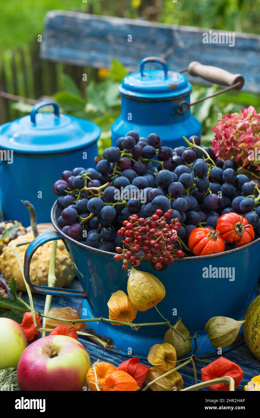 Colorful autumn fruits on a wooden garden table Stock Photo - Alamy