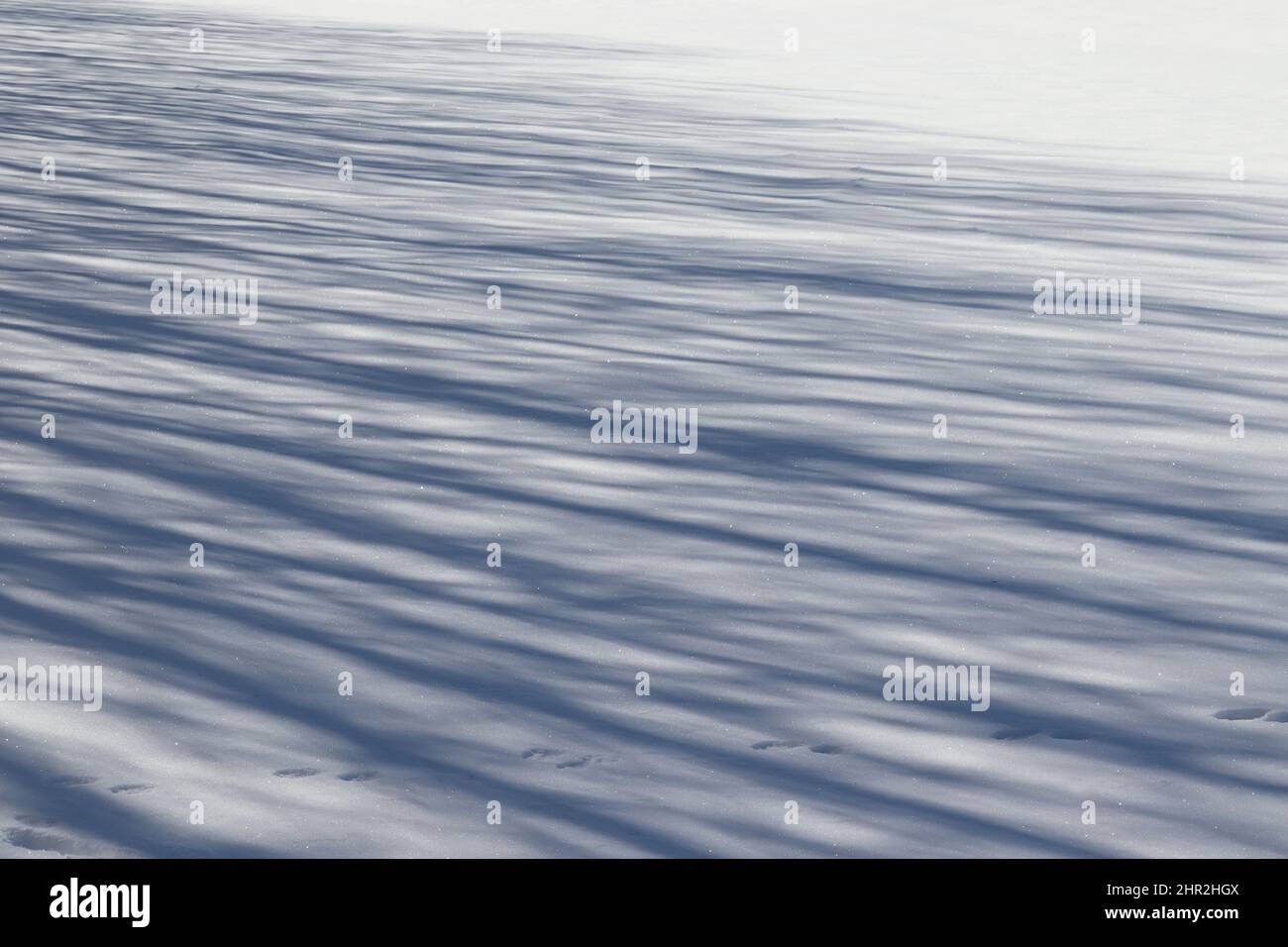 snow covered field texture background Stock Photo - Alamy